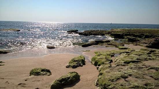 Best of 5 beautiful beaches in Gujarat